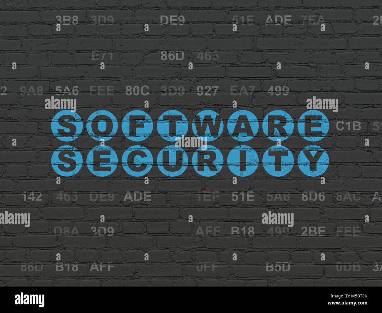 Protection concept: Software Security on wall background Stock Photo ...