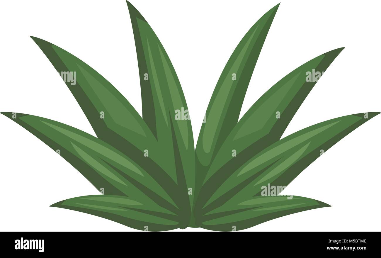 Bush plant symbol Stock Vector Image & Art - Alamy