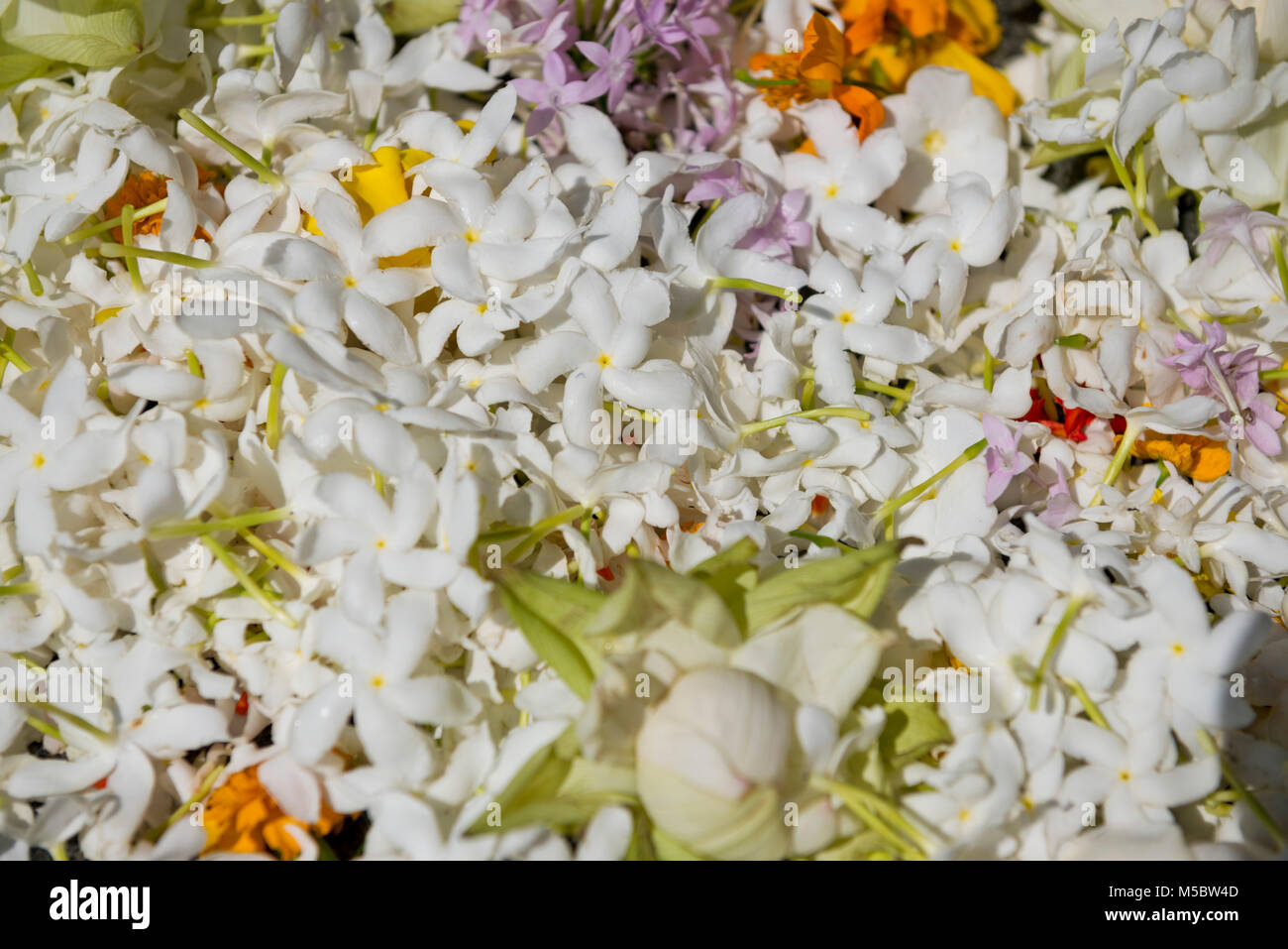 Sri Lanka, Asia, Kalu Gal Vihara Buddha Statue Stock Photo - Alamy