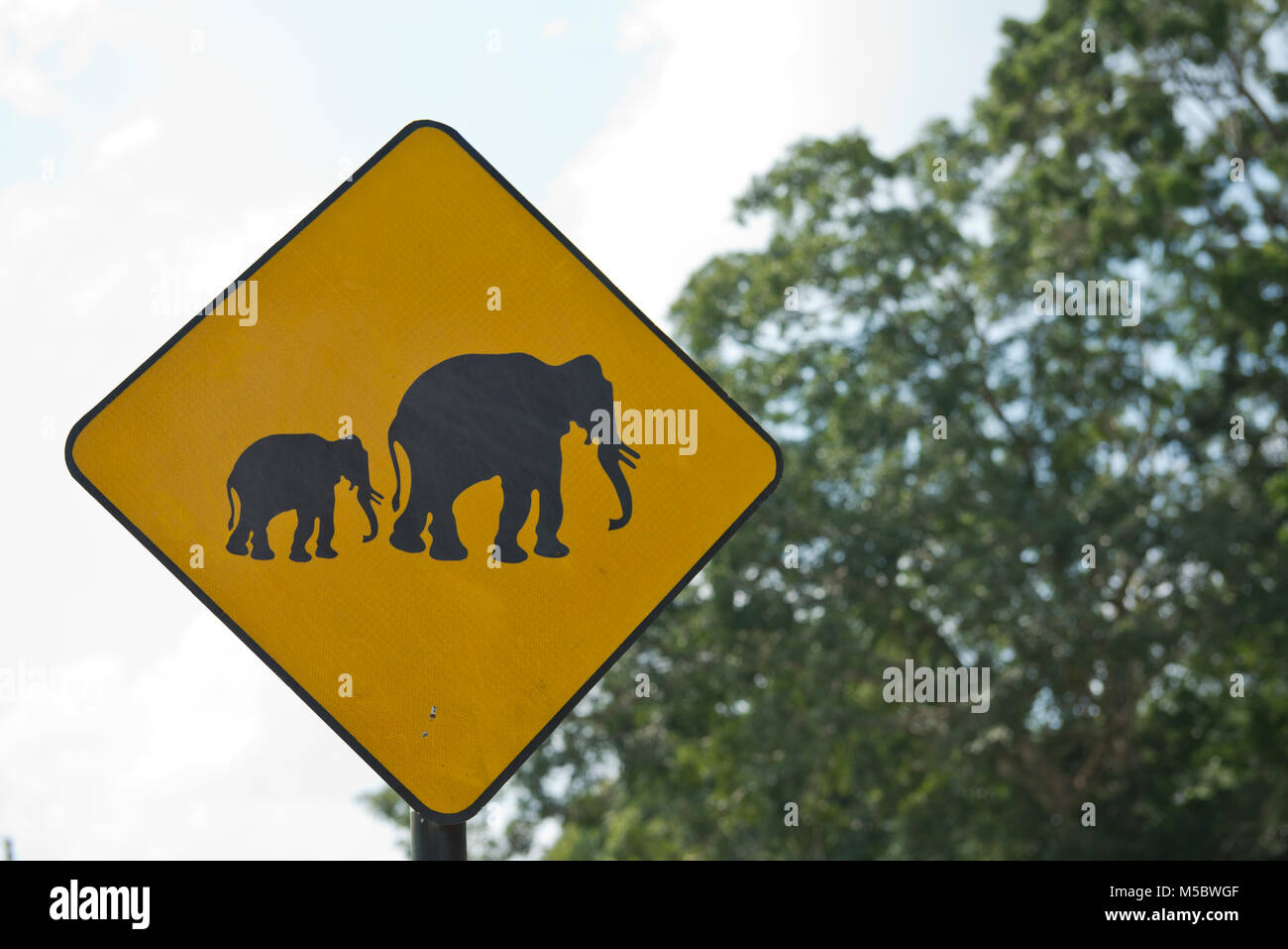 Sri Lanka, Asia, road sign, elephant Stock Photo - Alamy