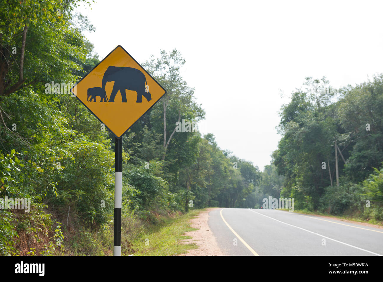 Sri Lanka, Asia, road sign, elephant Stock Photo - Alamy