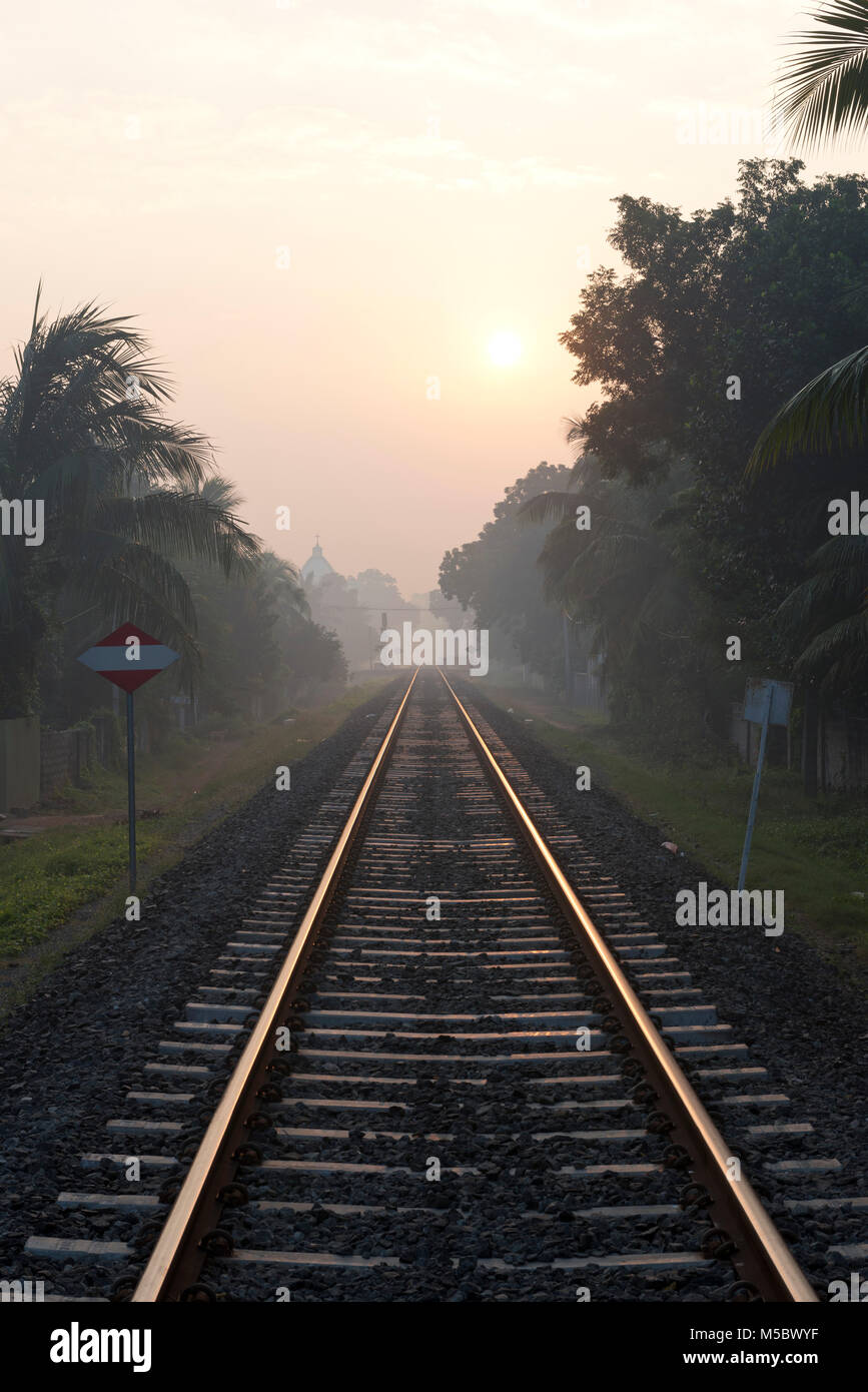Sri Lanka, Region, Jaffna, Asia, trough track, train, mist Stock Photo ...