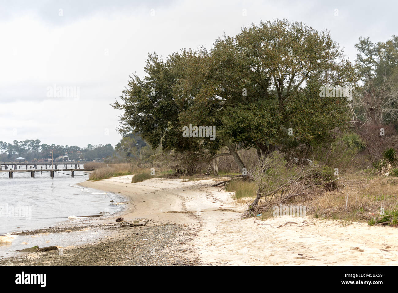 Shoreline on the bay Stock Photo - Alamy