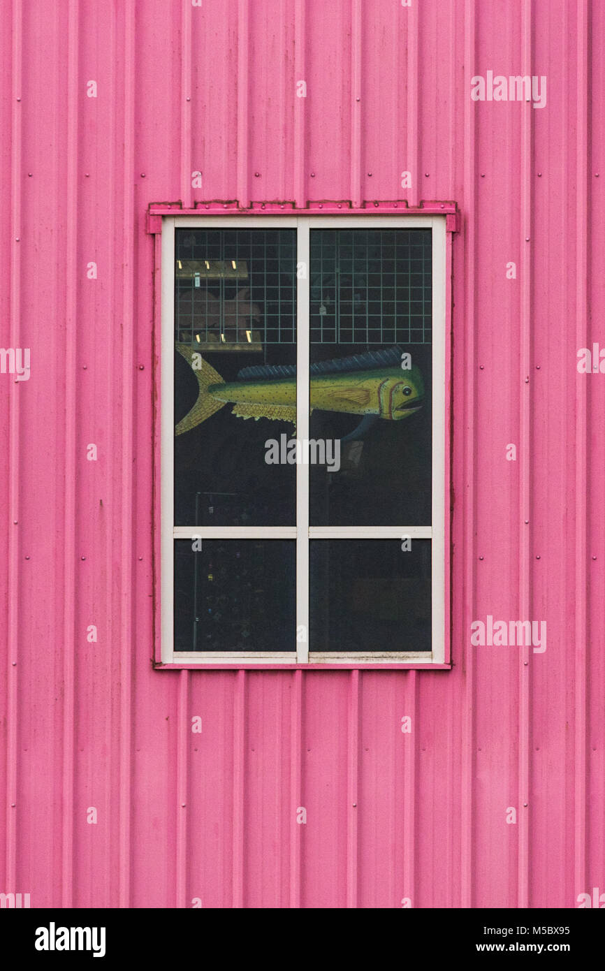 Colorful fish ish in a window Stock Photo - Alamy