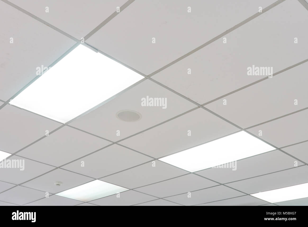 White ceiling with neon light bulbs in uprisen view.as background ...