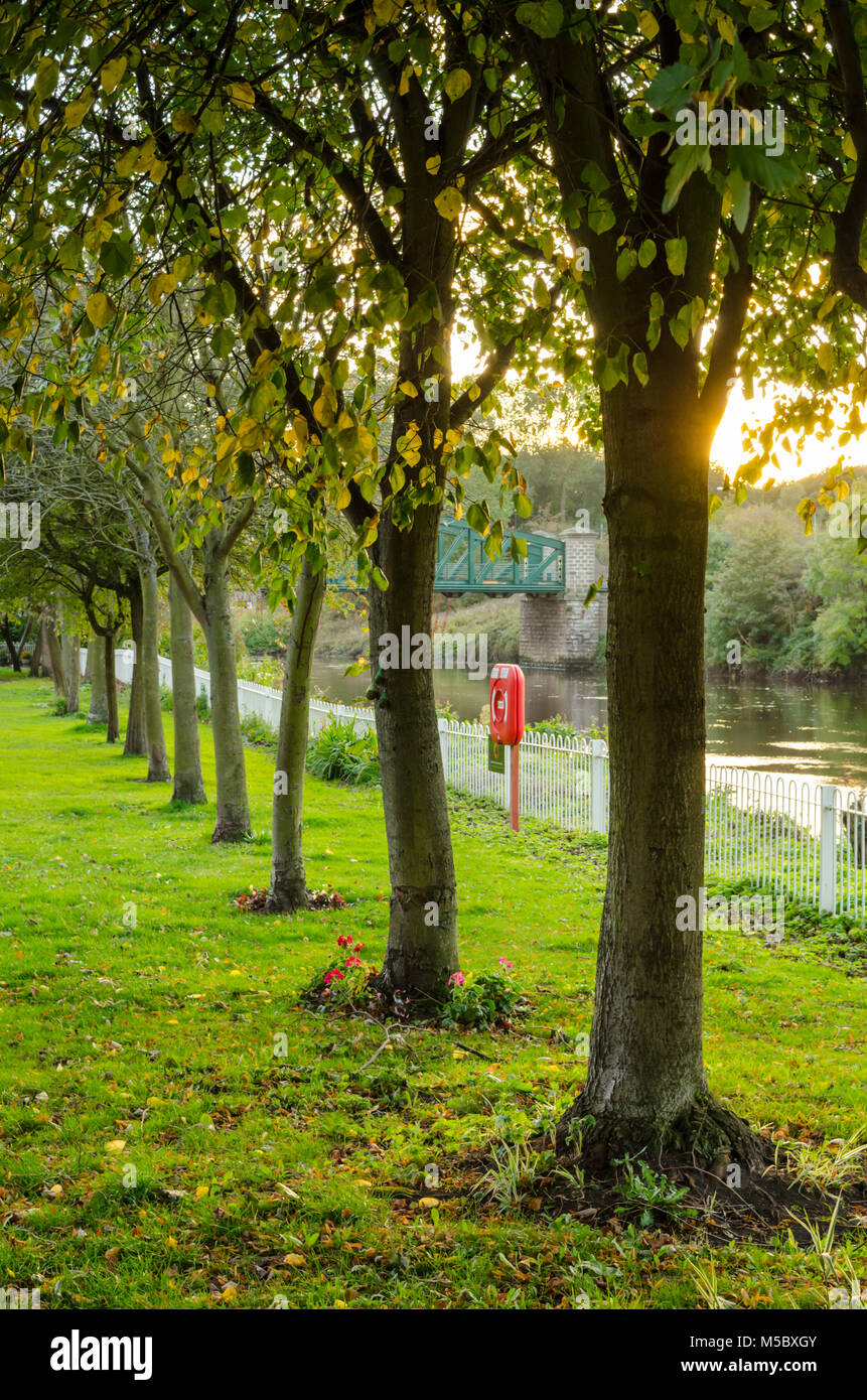 Fatfield washington hi-res stock photography and images - Alamy