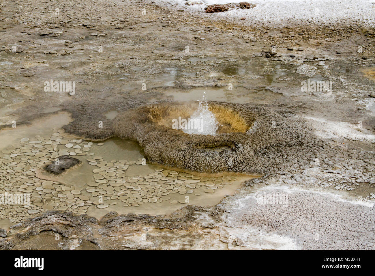Bubbles of erupting hot springs water in small geyser in Upper Geyser ...