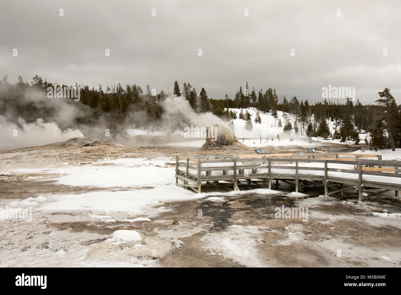 Signs for geysers on wooden boardwalk in Upper Geyser Basin in ...