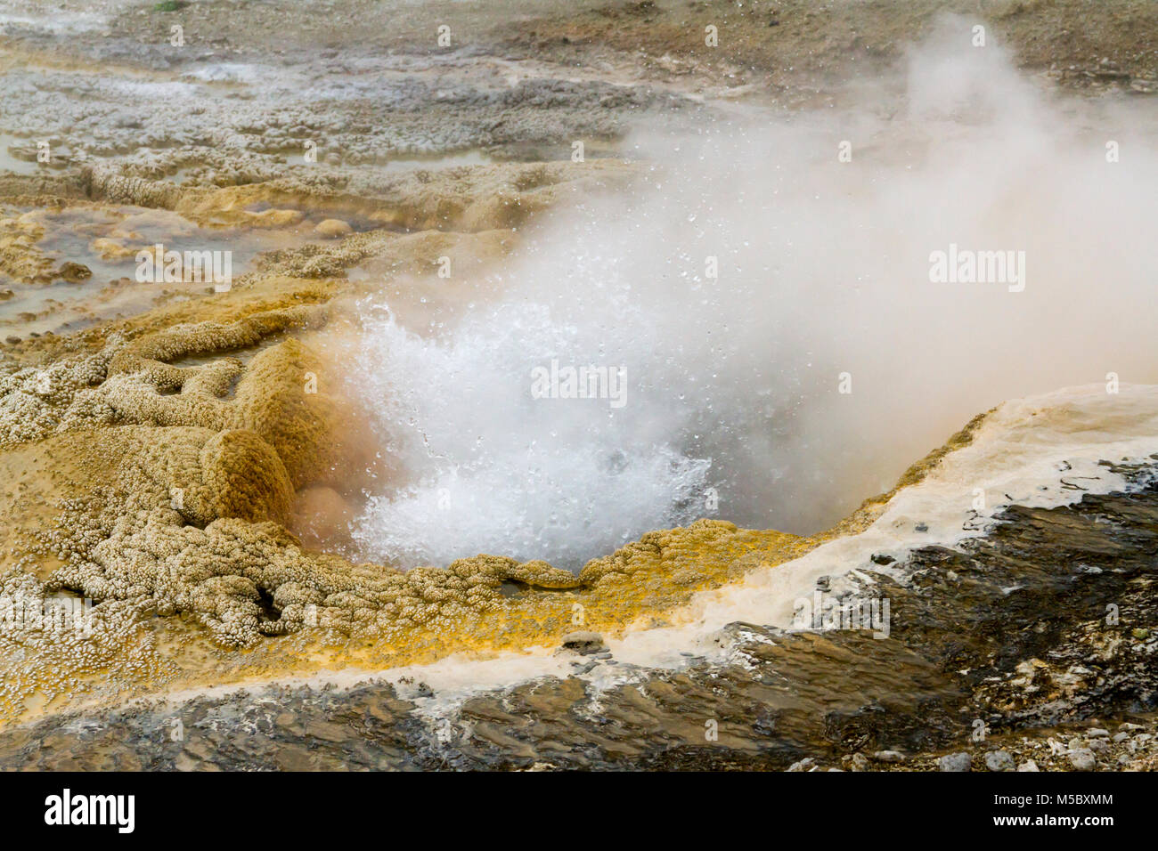 Bubbles in erupting geyser in Upper Geyser Basin in Yellowstone ...