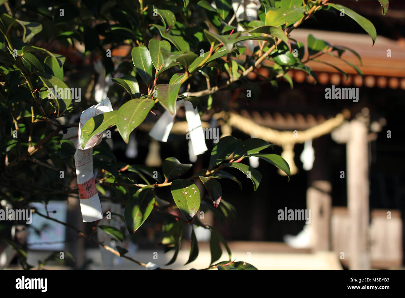 Translation: "The letters at Hachninomangu Shinto temple" in Yamaguchi ...