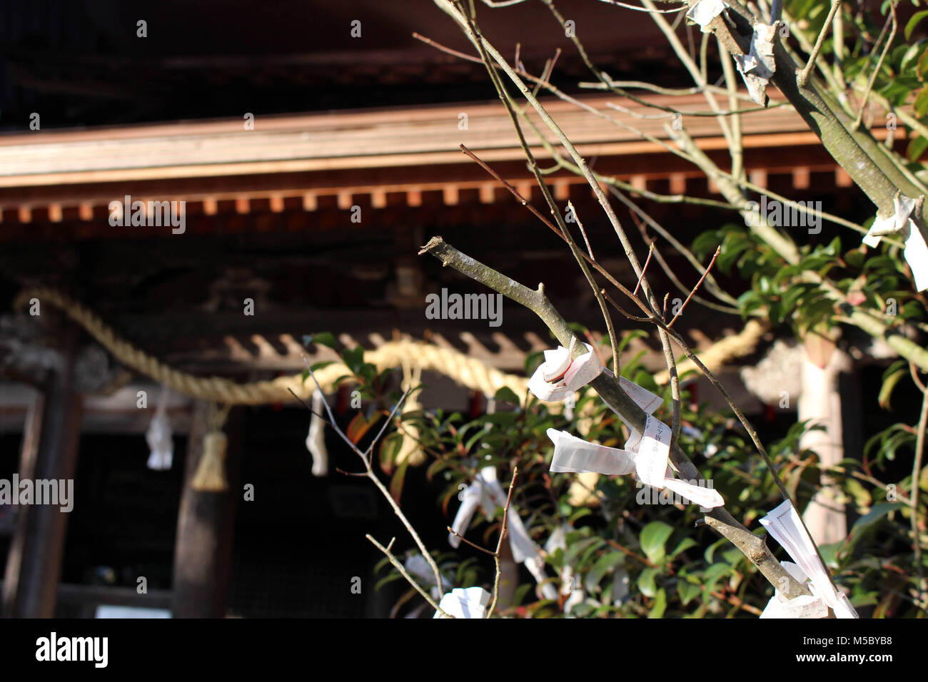 Translation: "The letters at Hachninomangu Shinto temple" in Yamaguchi ...