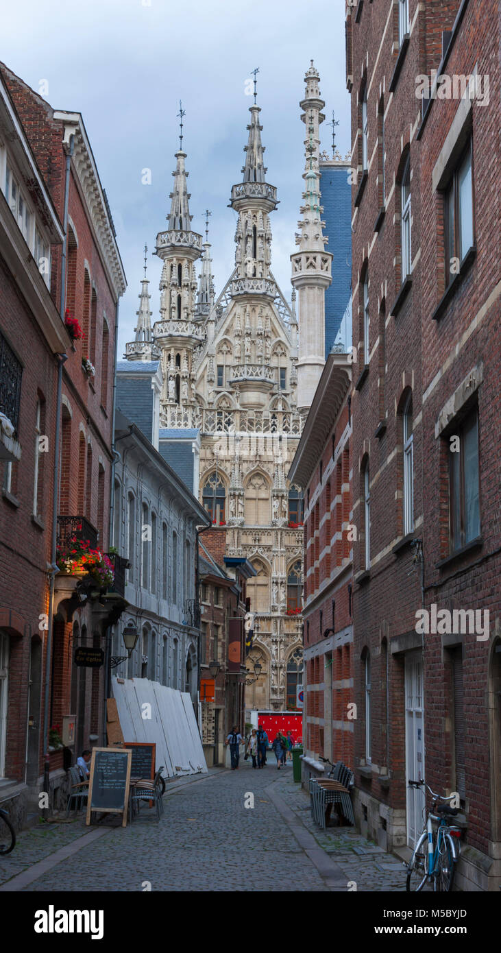 Leuven Town Hall. Ornate turrets rising majestically above a narrow ...