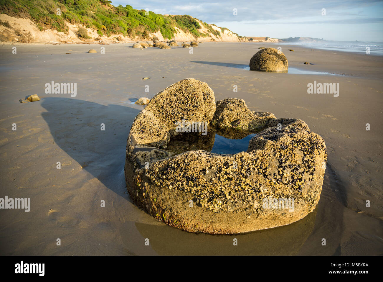Among the Moeraki Beach Boulders, a boulder in the foreground is broken ...