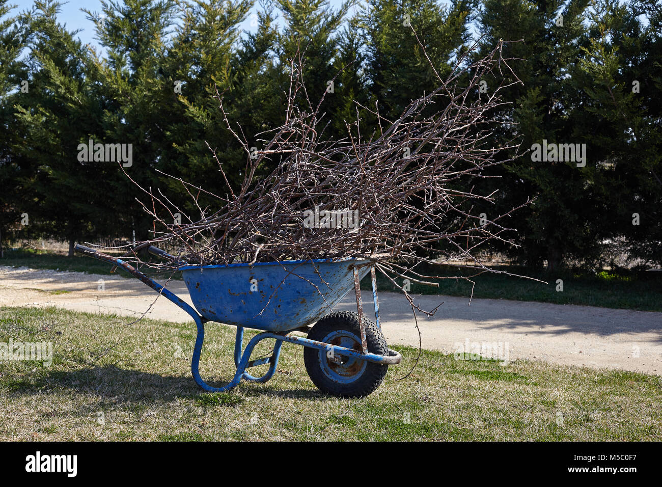 Garden trolley with tree branches after pruning Stock Photo - Alamy