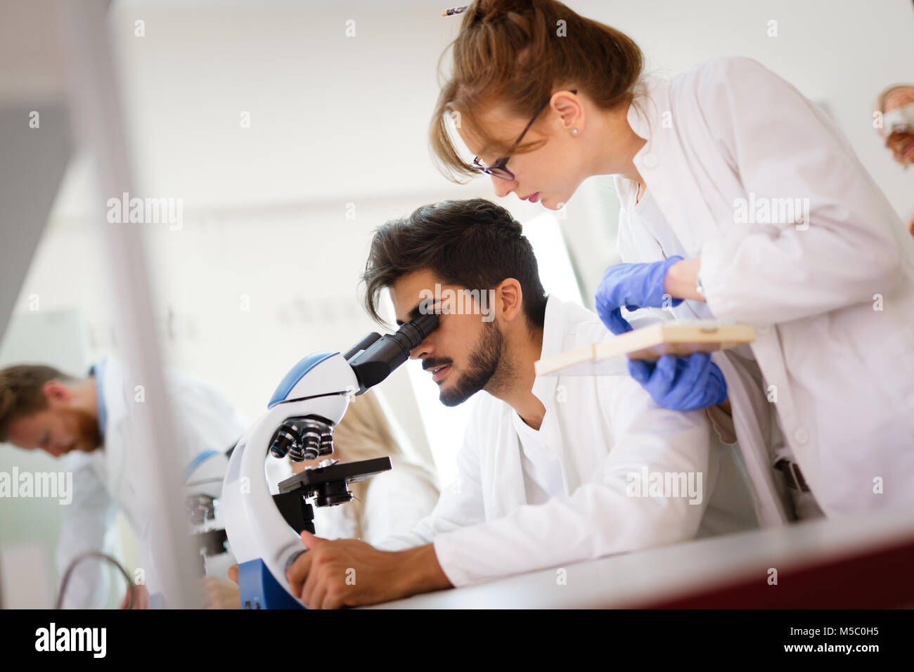 Scientist working at the laboratory Stock Photo - Alamy