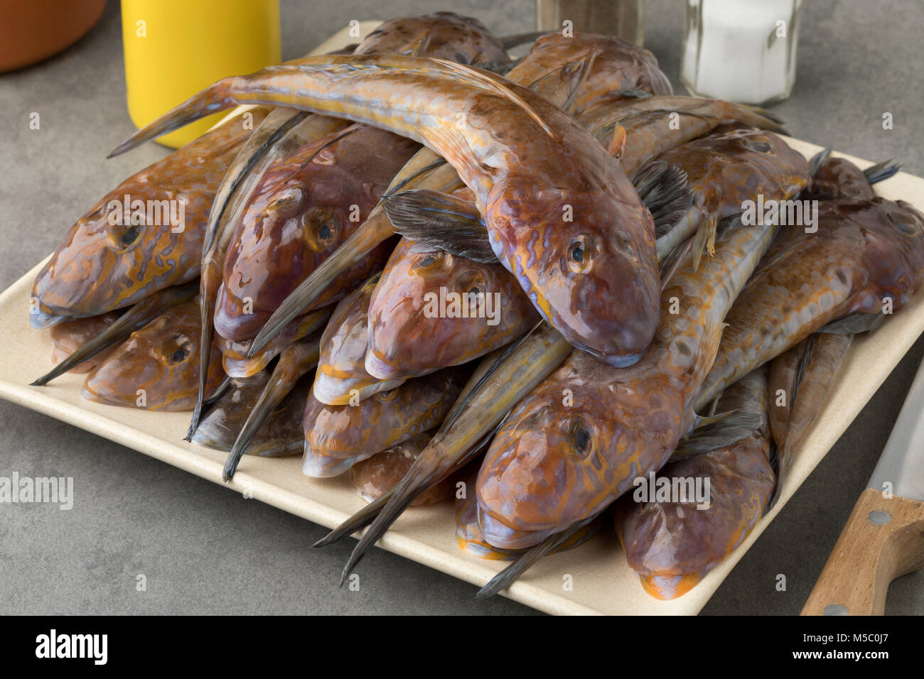 Flathead fish hi-res stock photography and images - Alamy