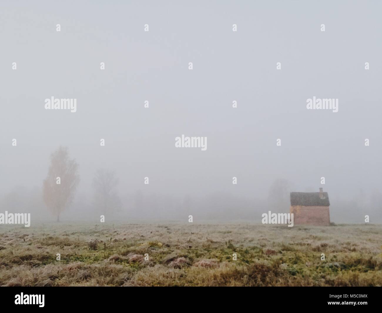 Grass field. Beautiful foggy morning scene with a little shed Stock ...