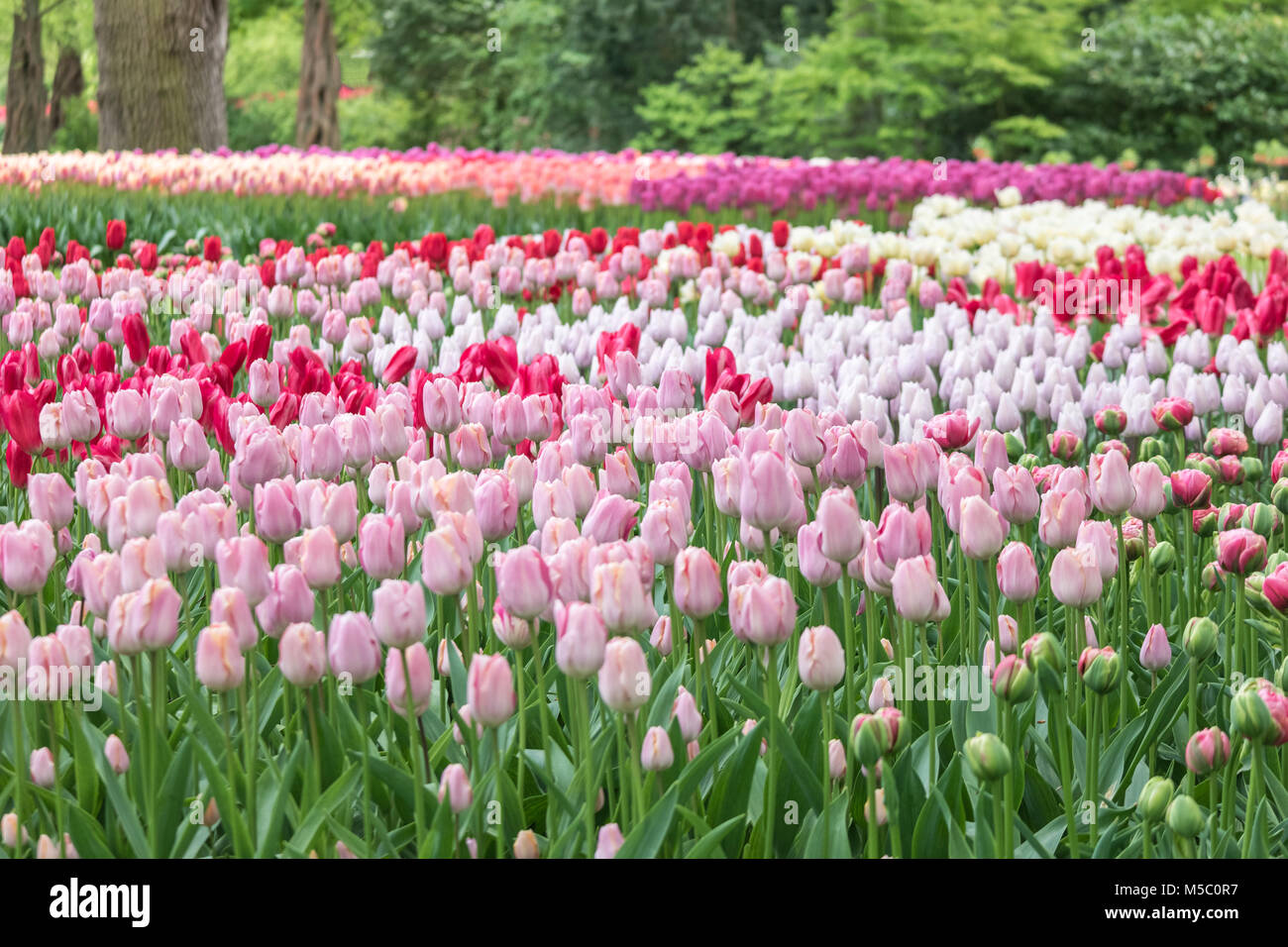 Spring garden landscape hi-res stock photography and images - Alamy