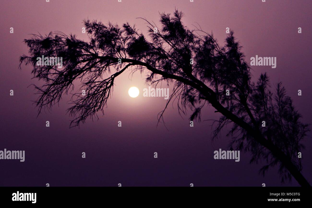 Evening Bliss, Sunset from Zallaq Beach, Bahrain. 10/01/2018 Stock ...