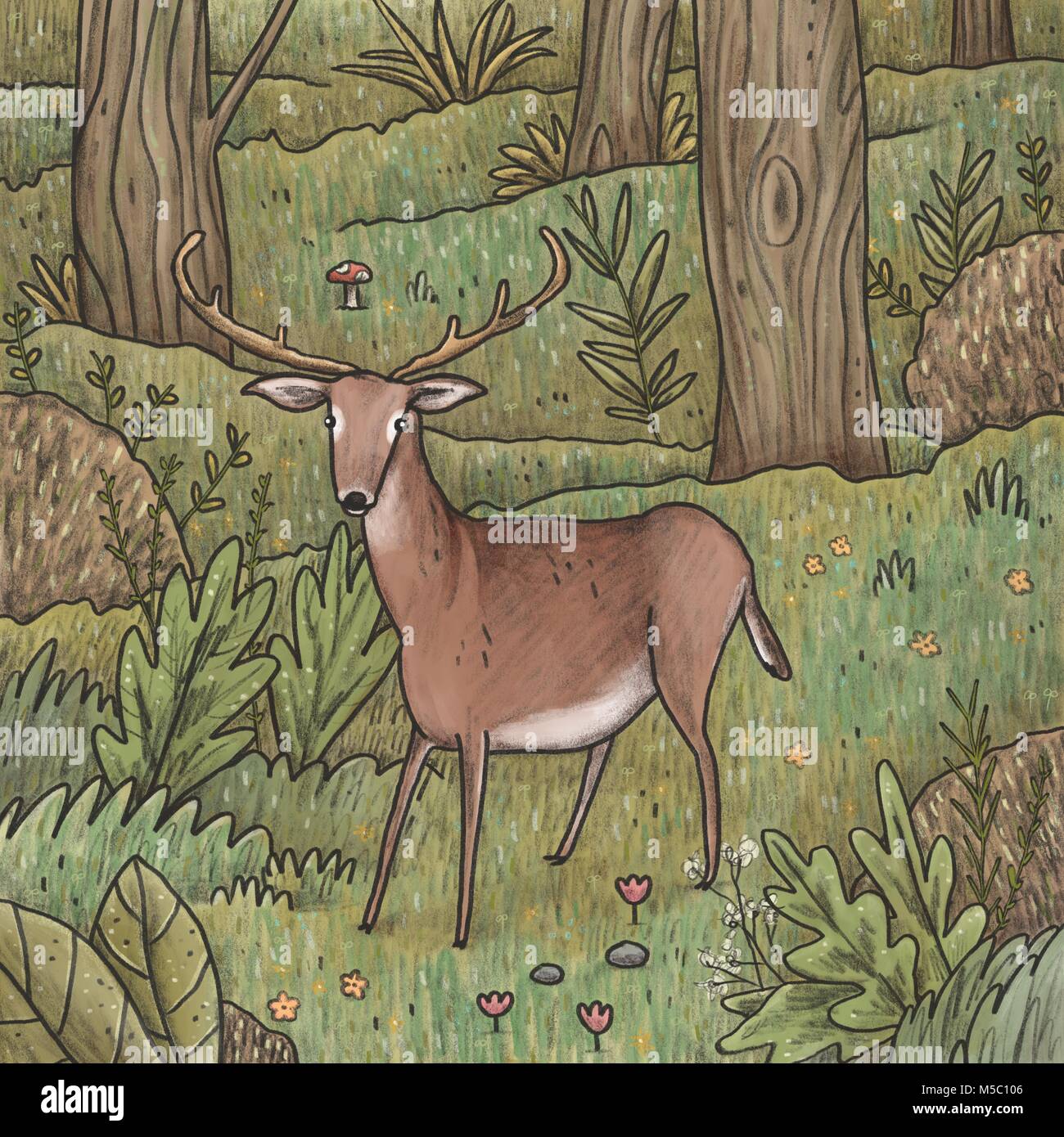 A sweet stag in a mystical woodland 🦌 Stock Photo - Alamy