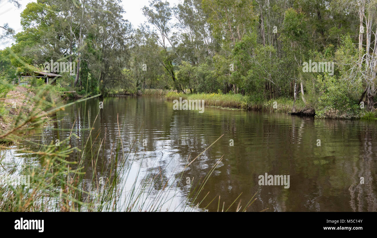 Warrell Creek that joins the Nambucca River on the north coast of NSW ...