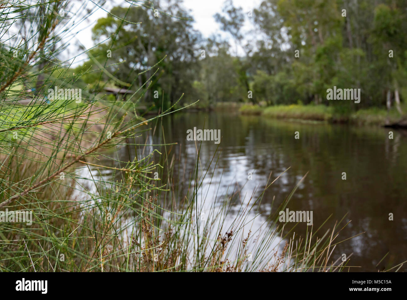 Nambucca north head hi-res stock photography and images - Alamy