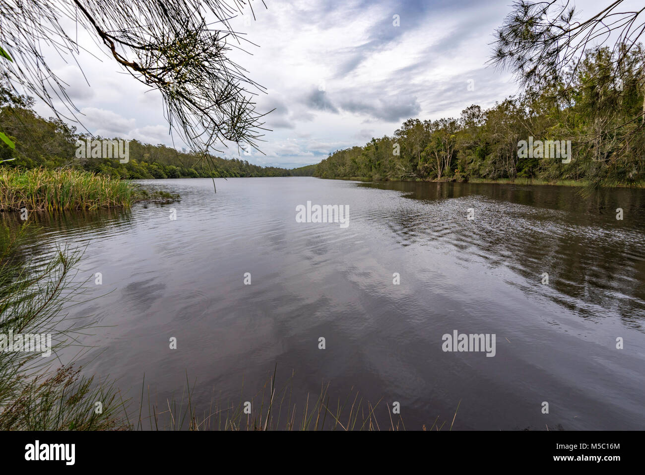 Warrell Creek that joins the Nambucca River on the north coast of NSW ...