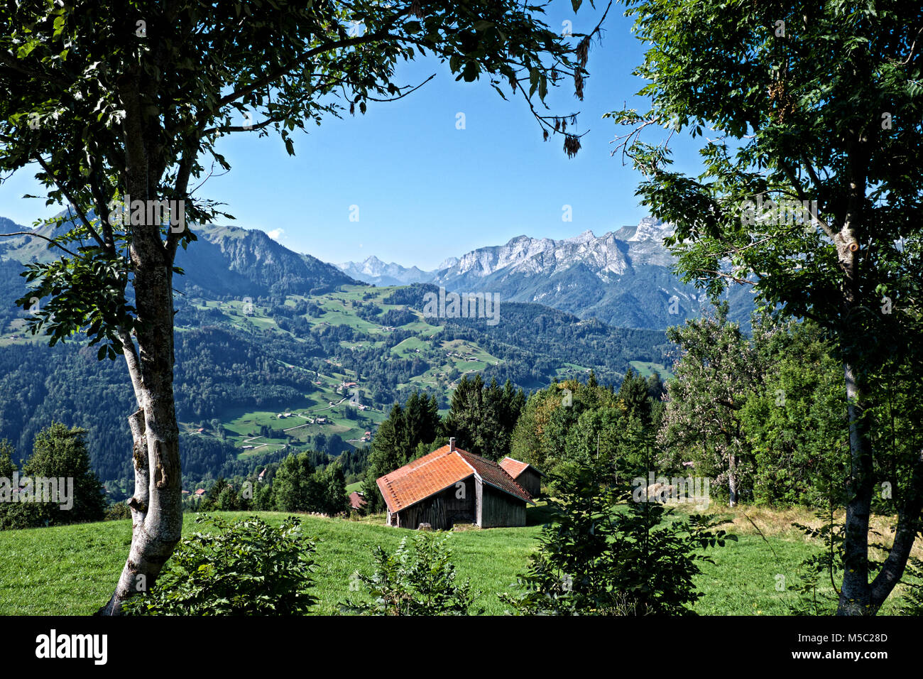Col de croix fry hi-res stock photography and images - Alamy
