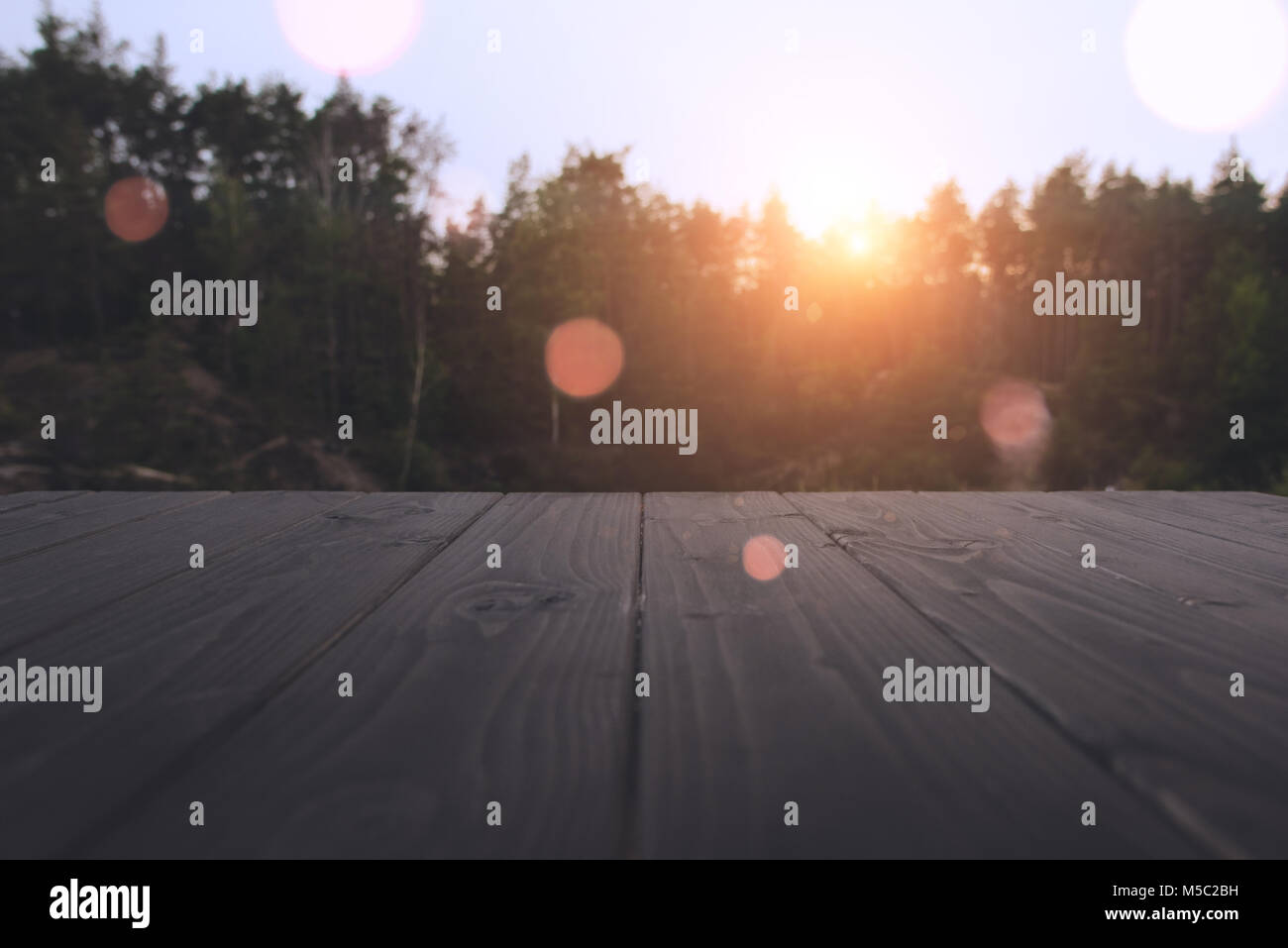 summer forest at sunset Stock Photo - Alamy