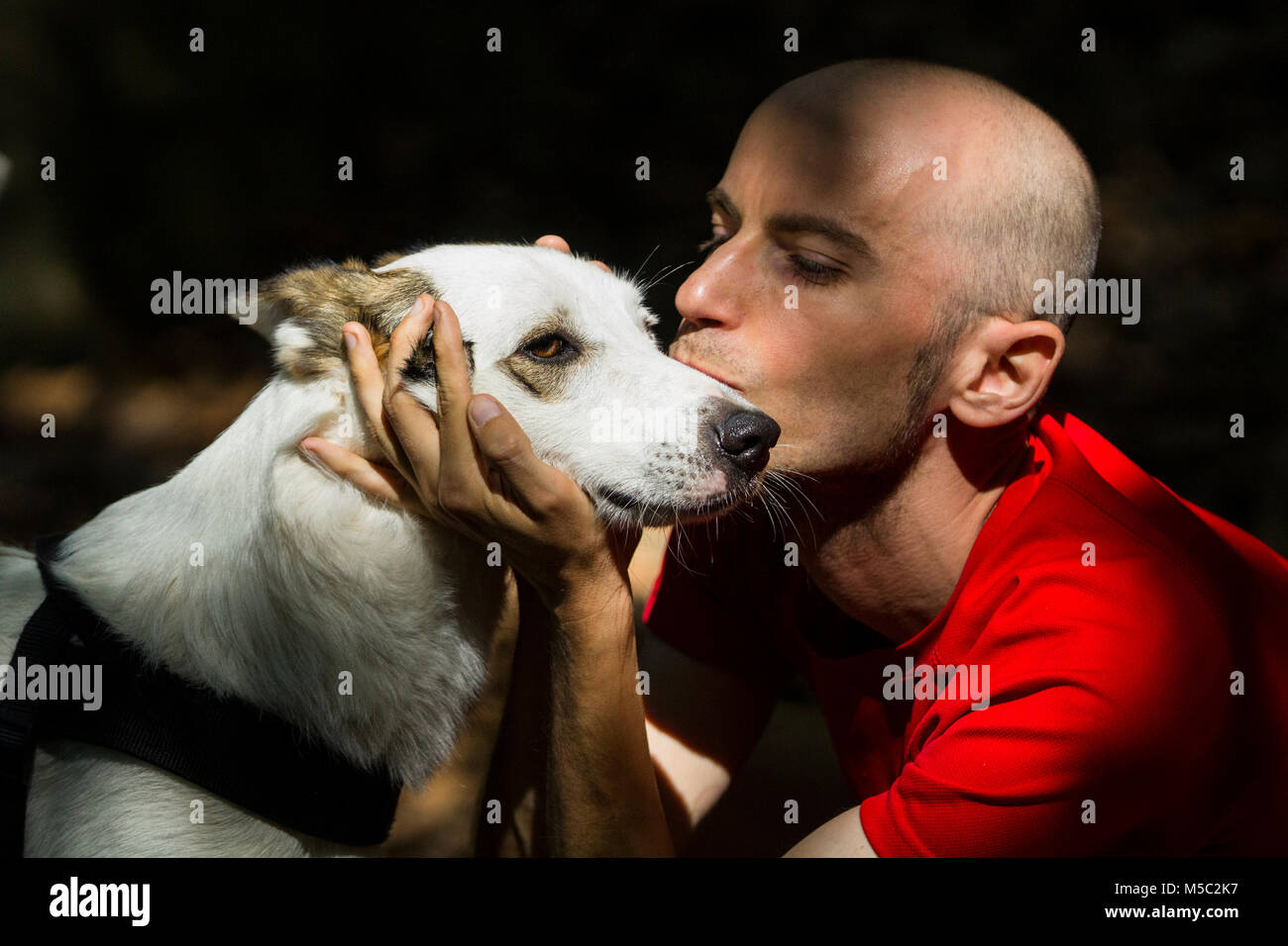 Kiss a dog hi-res stock photography and images - Alamy