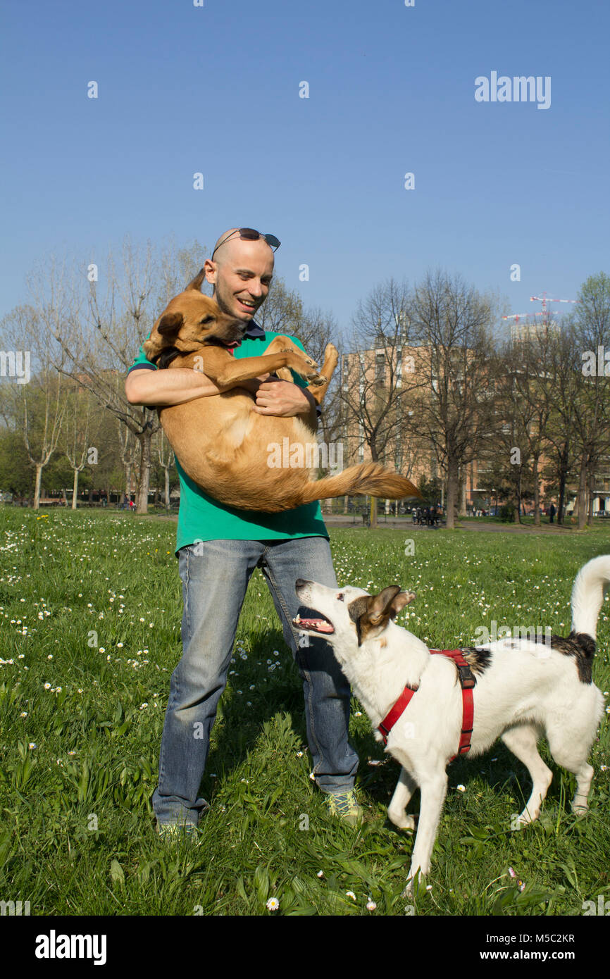 Happy dogs playing hi-res stock photography and images - Alamy