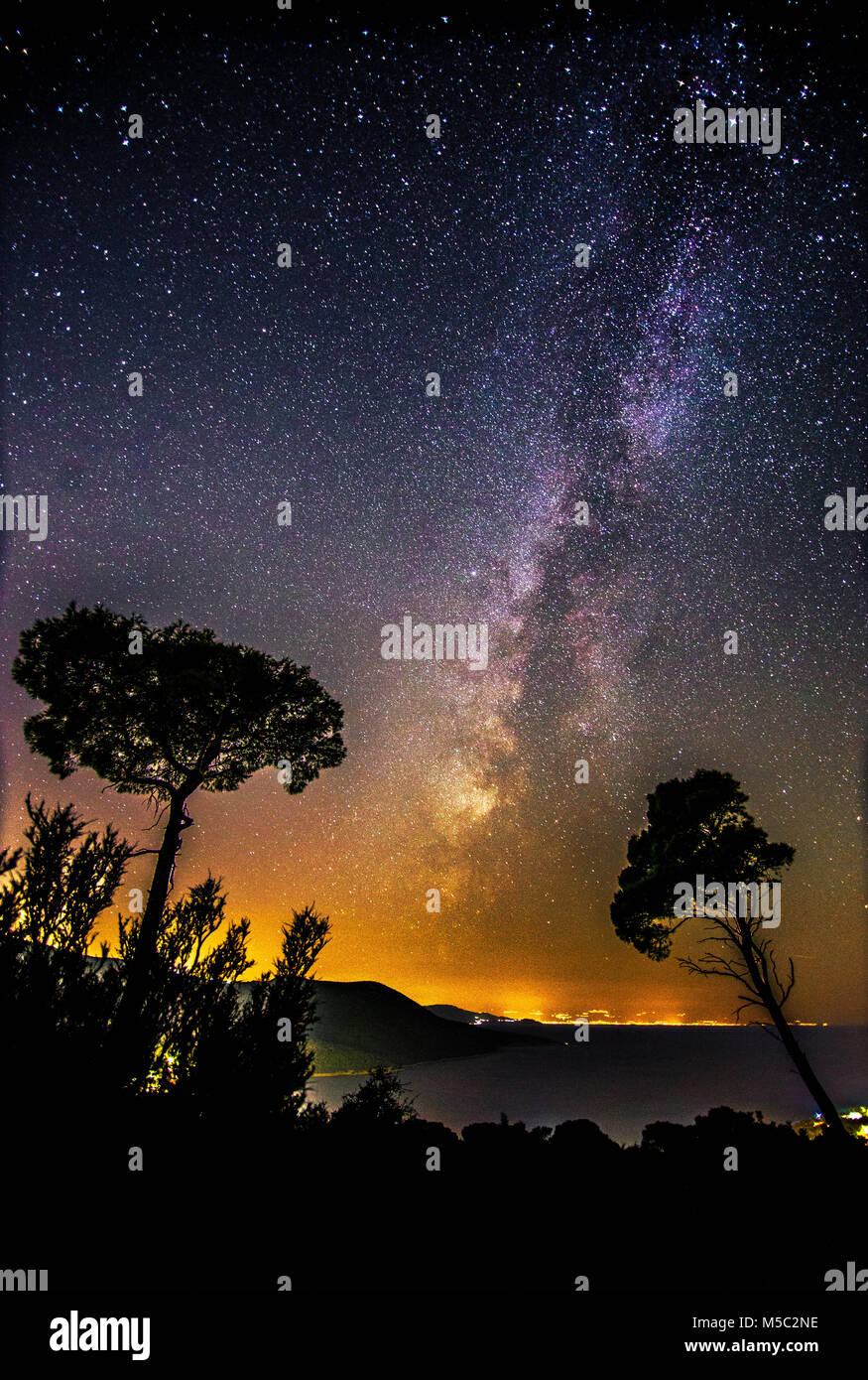 Milky way rises over the trees Stock Photo - Alamy
