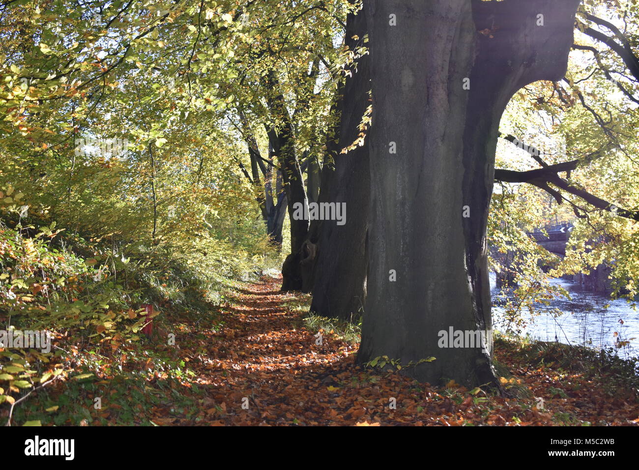 Ribble valley autumn hi-res stock photography and images - Alamy