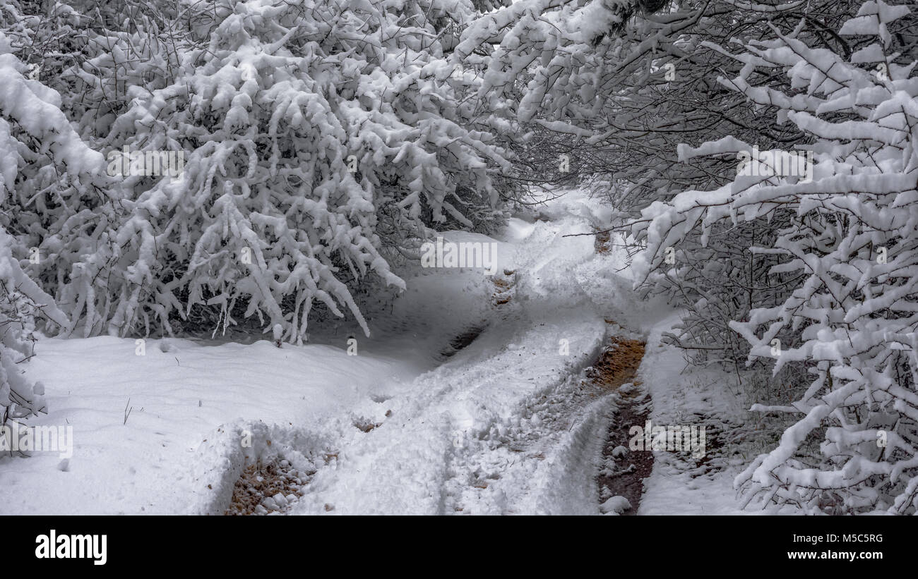 Snow covered winter road hi-res stock photography and images - Alamy