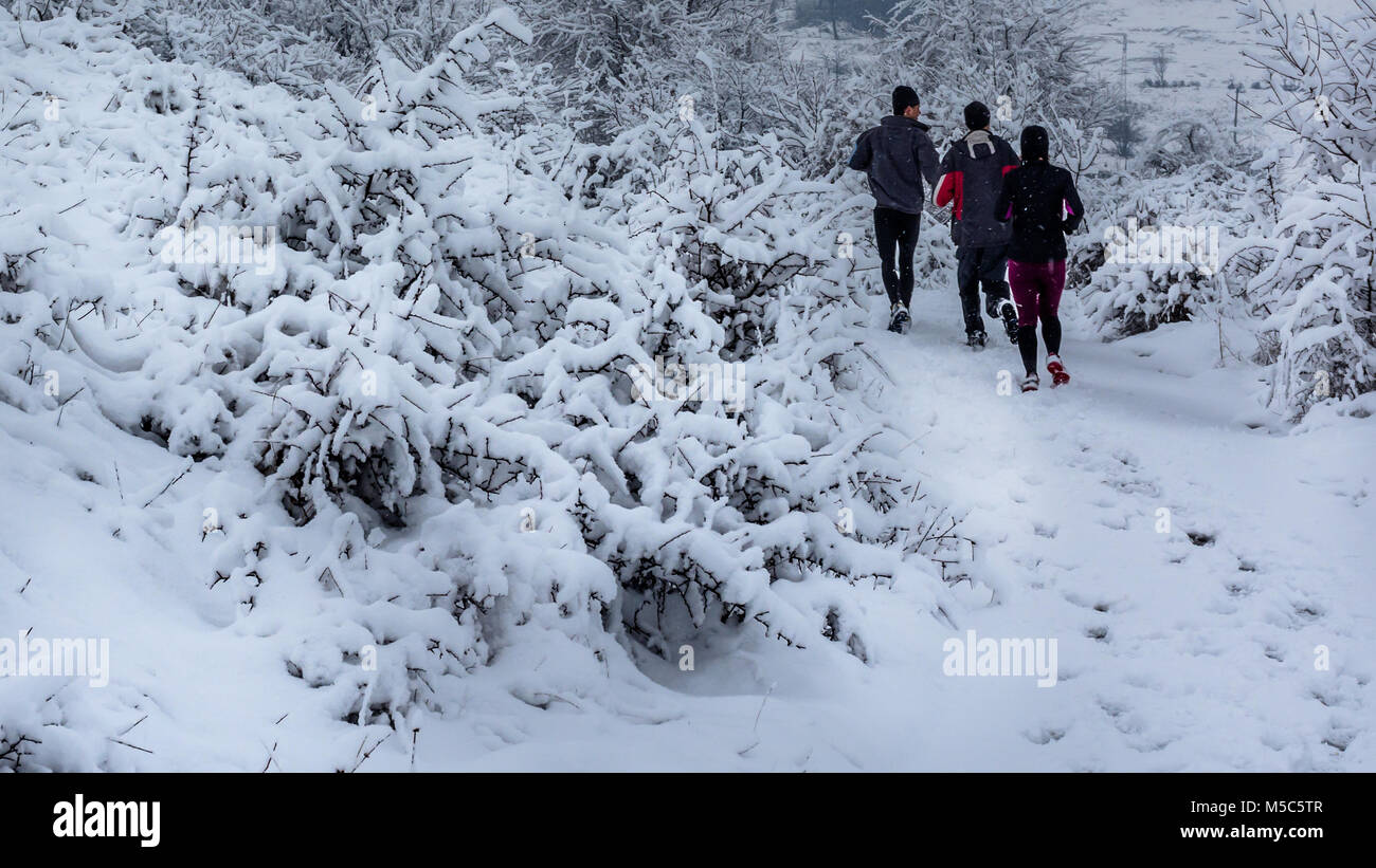 Running in the snow Stock Photo - Alamy