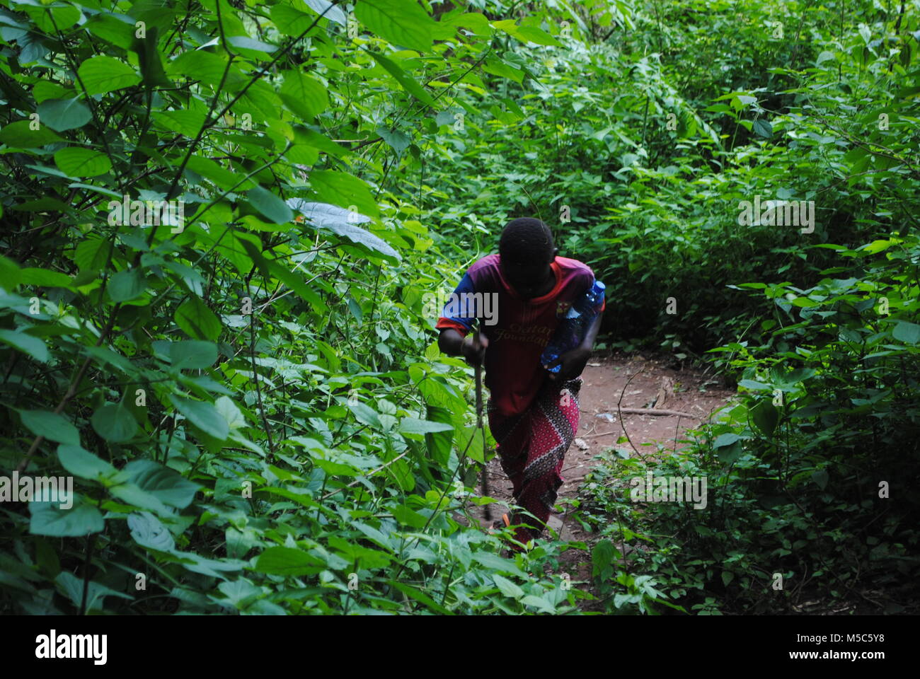 Access trail under the falls Stock Photo - Alamy