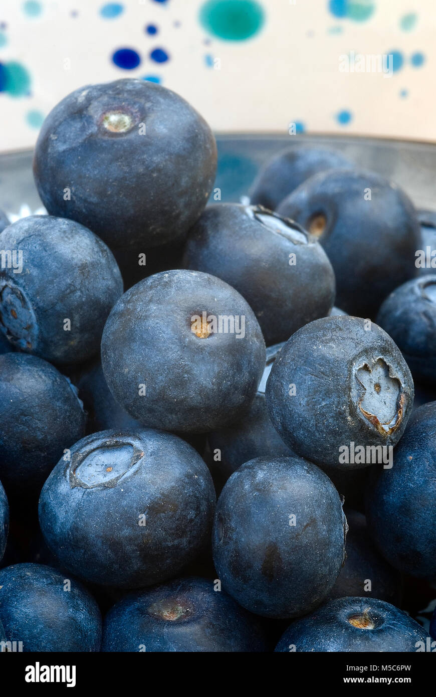 Closeup of blueberry, ingredient for the preparation of pastries and ...