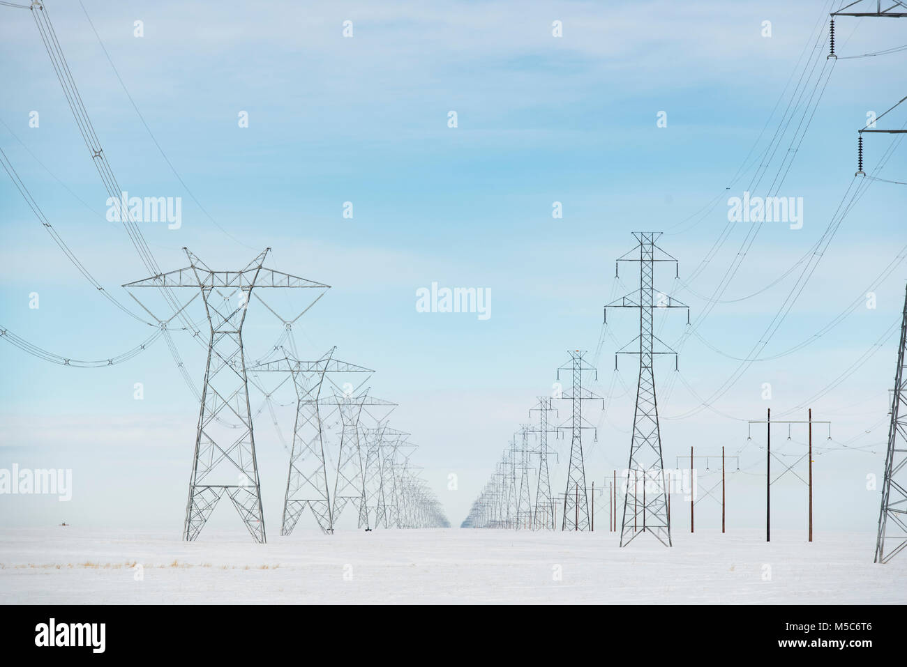 Alberta, Canada. Looking down center of double-row of electricity ...