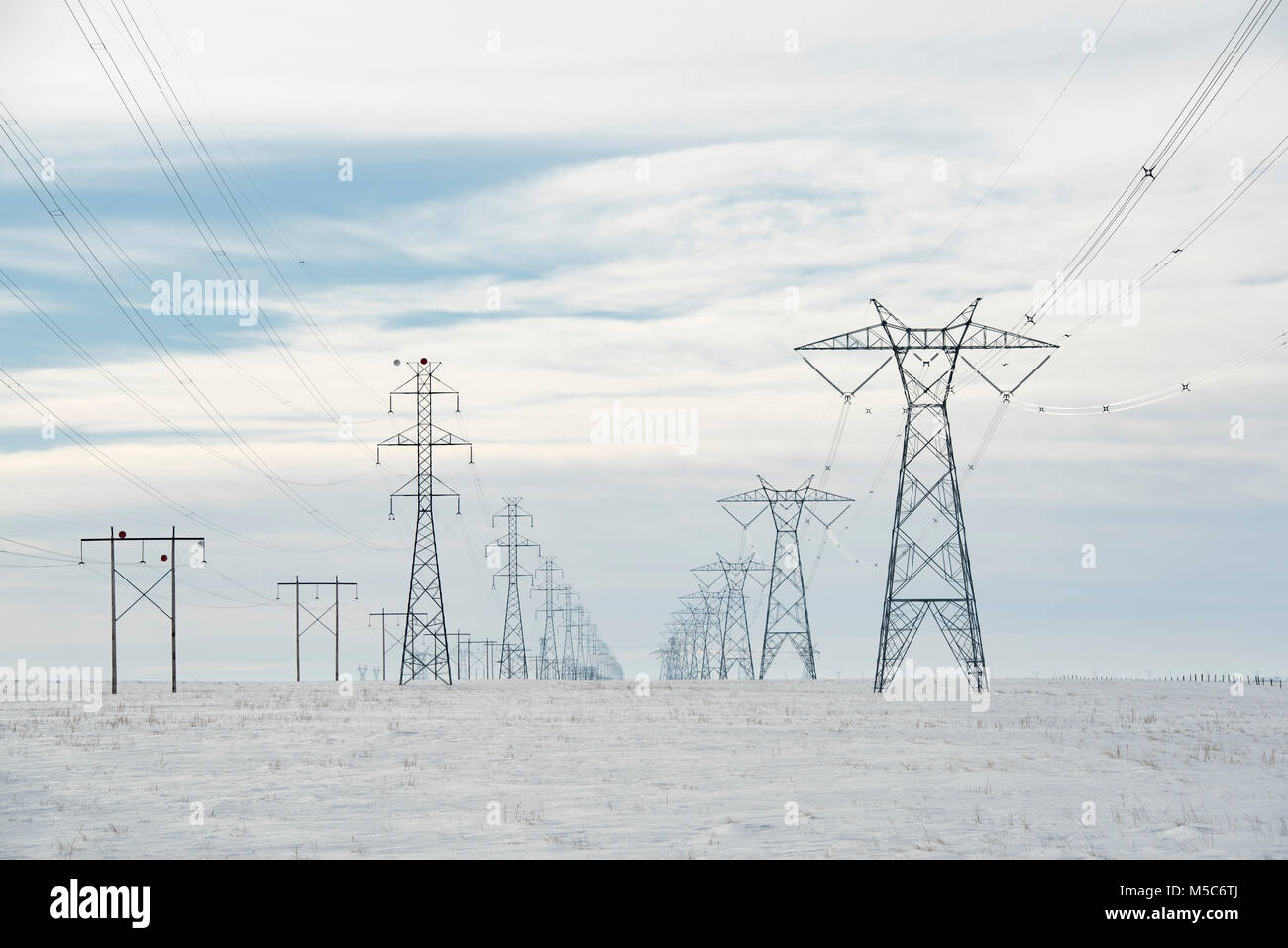 Alberta, Canada. Looking down center of double-row of electricity ...