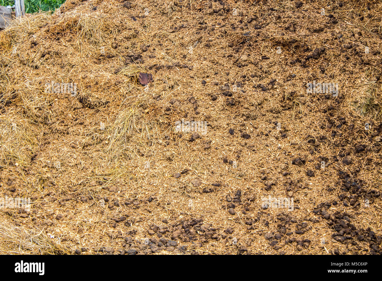 Pile of horse manure hi-res stock photography and images - Alamy