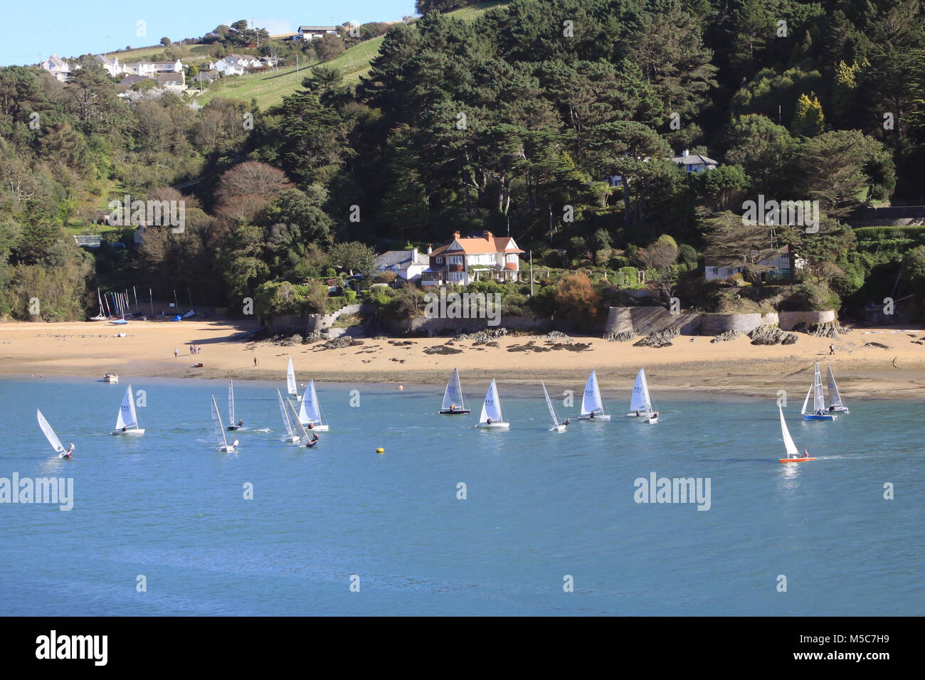 Sailing Boats on the Kingsbridge Estuary at Salcombe, Devon, England ...