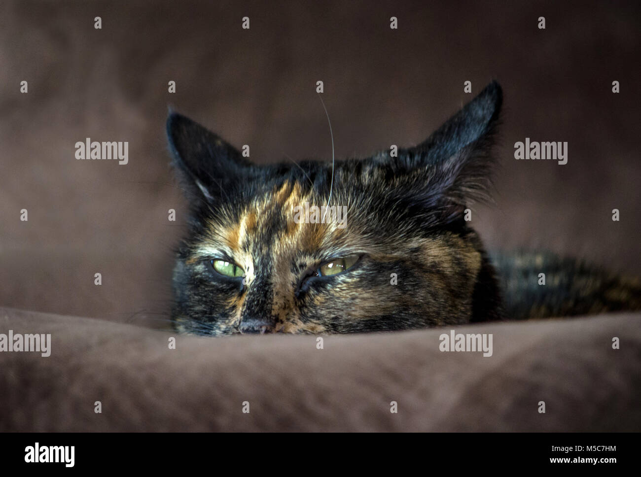 Being cautious hi-res stock photography and images - Alamy