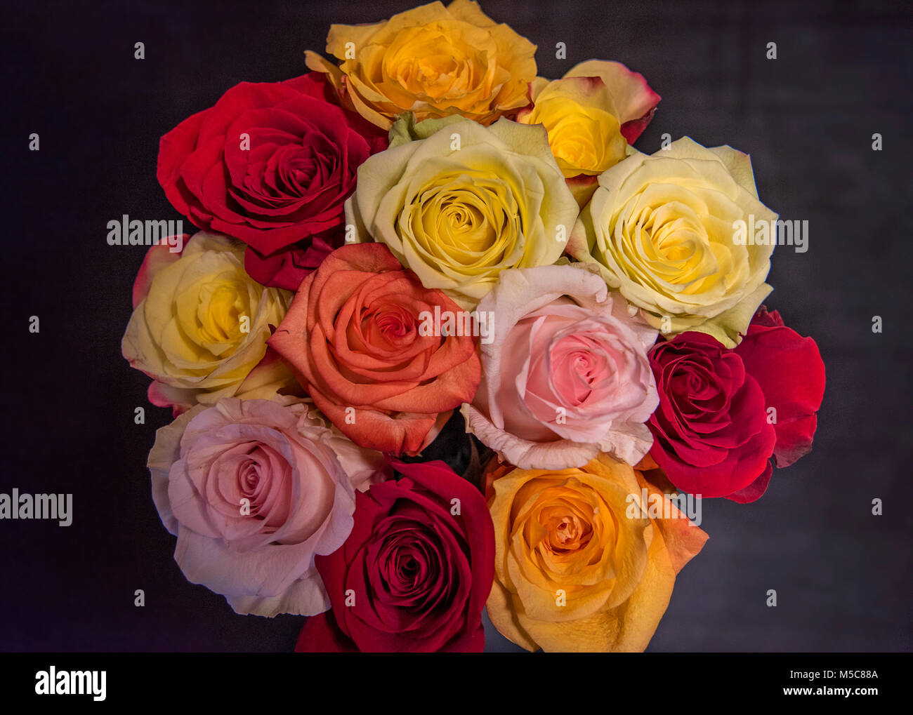 Bouquet of colorful roses Stock Photo - Alamy