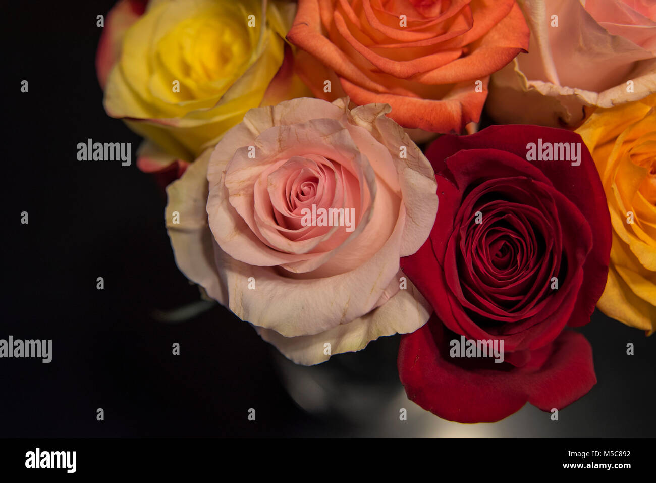 Rose Sepal Stock Photos & Rose Sepal Stock Images - Alamy