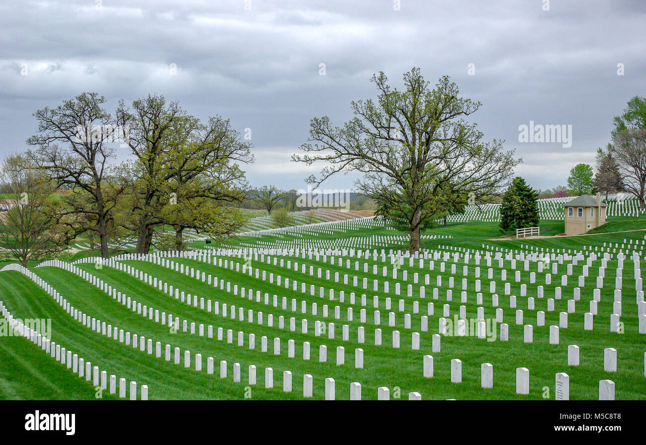 Landscape of military cemetery with rows of white headstones, trees ...
