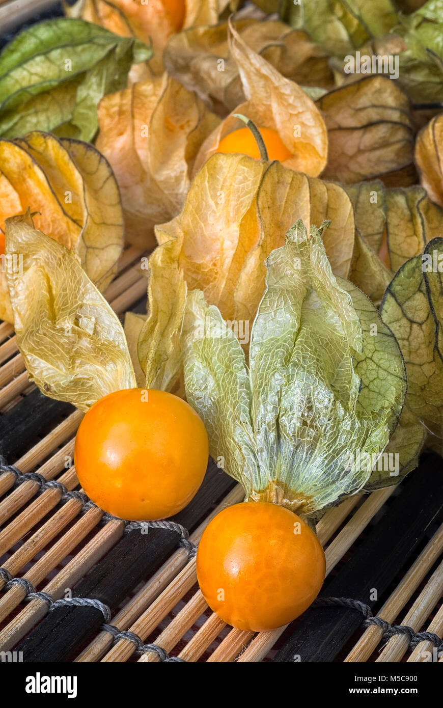 Physalis fruit (Physalis peruviana) also called Cape gooseberry, Uchuva ...