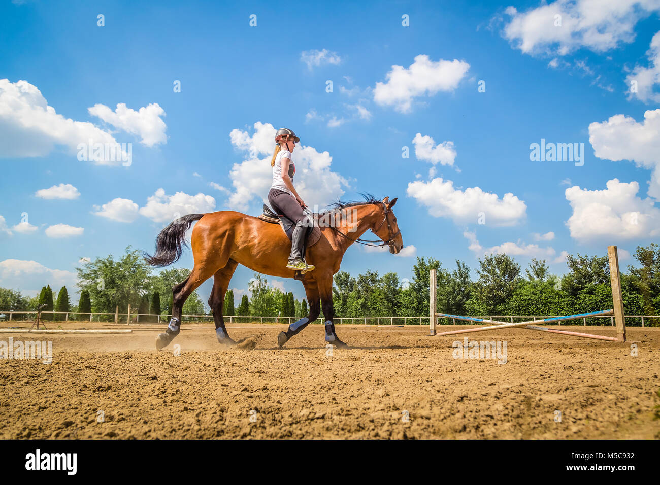 Equestrian on horseback. Animals and sport concepts Stock Photo - Alamy