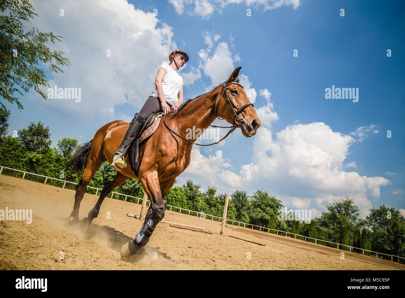 Portrait of woman riding a horse. Equitation in countryside Stock Photo ...