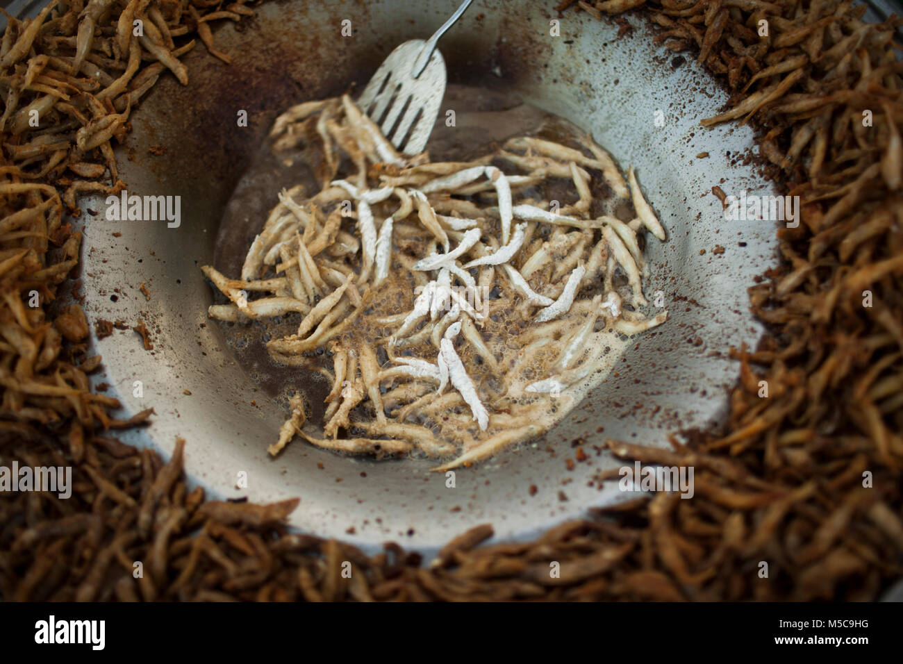 Da a de muertos hi-res stock photography and images - Alamy