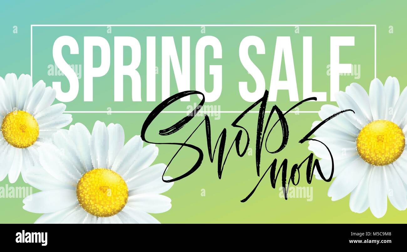 Spring sale banner, background with daisy flowers. Seasonal discount ...